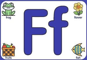 Medigap Plan F vs F Extra: Blue Shield Breakdown - Senior65